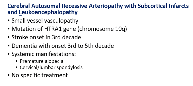 CARASIL - World Stroke Academy