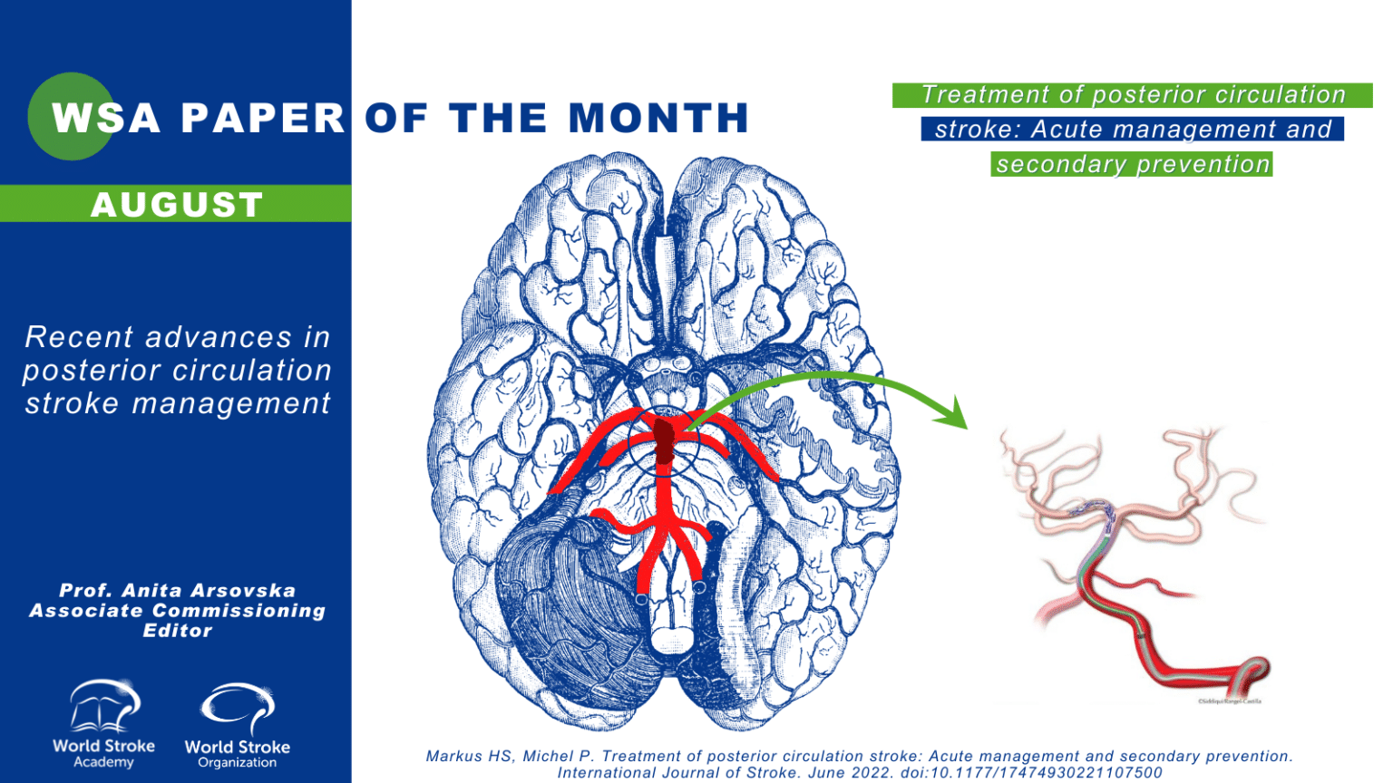The Paper of the Month August - World Stroke Academy